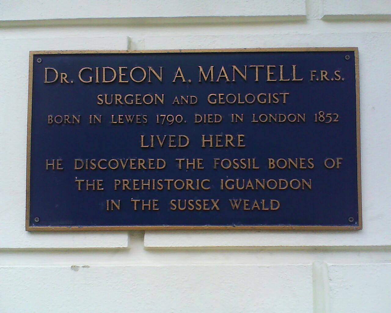 Fossils and Where to Find Them - Visit Lewes
