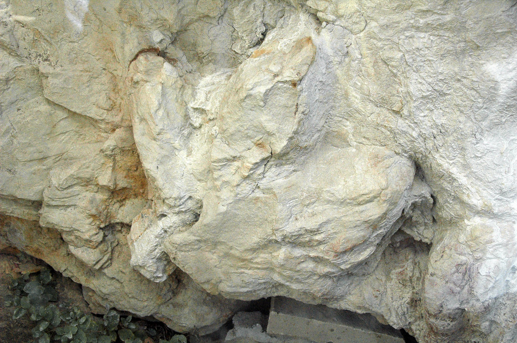 Chalk Geology - Visit Lewes